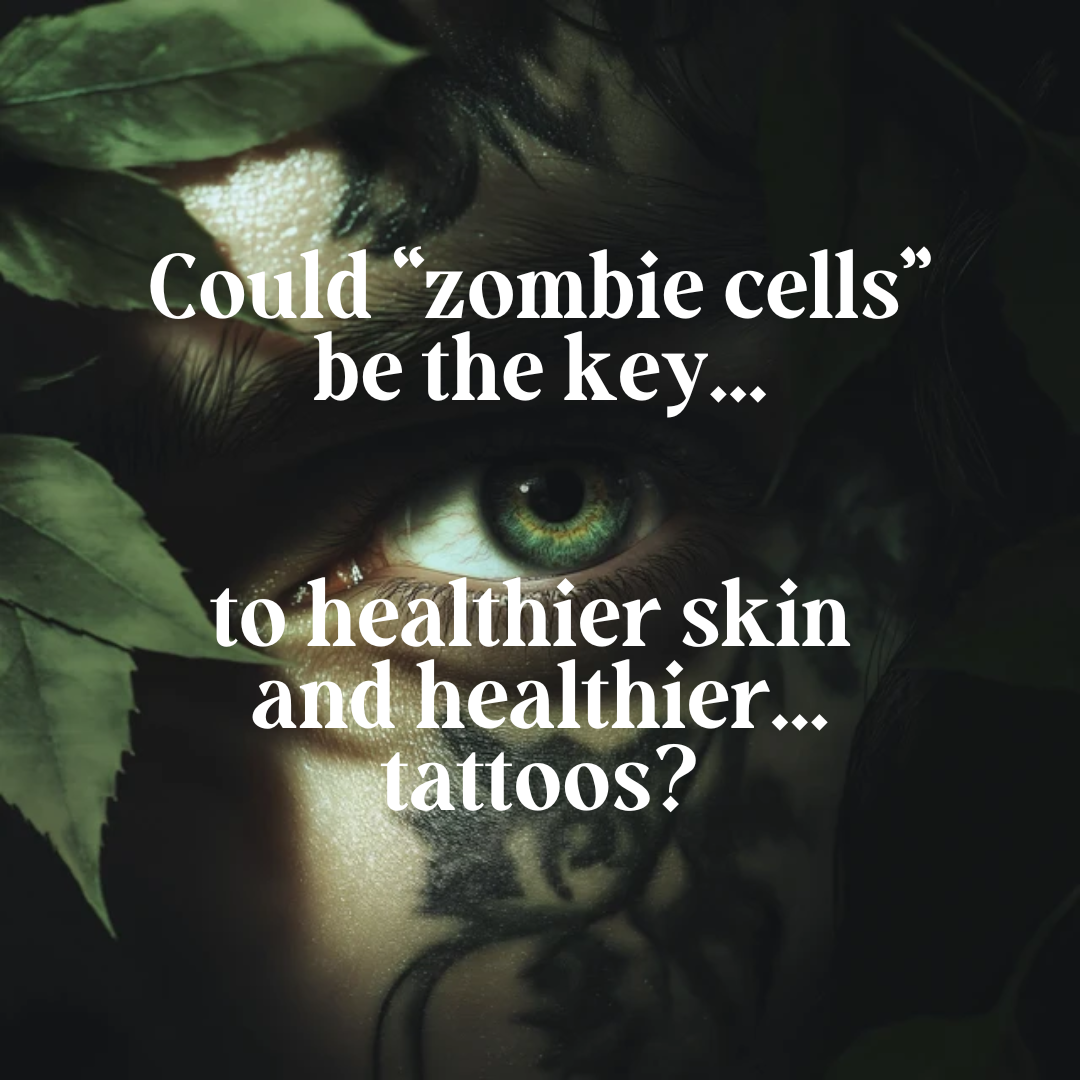ZOMBIE CELLS! Can Senolytics and Biomimicry Revolutionise Skincare and ...